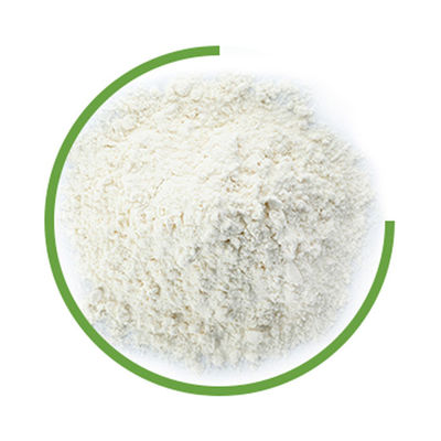 Paper Enzyme factory, Buy good price Biodiesel Enzyme products