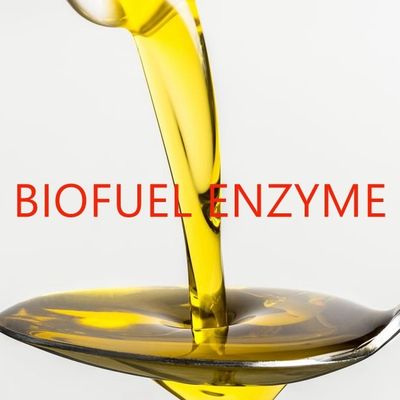Paper Enzyme factory, Buy good price Biodiesel Enzyme products