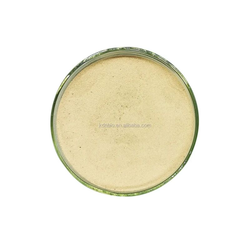 Candida antartica Lipase (CALB) Immobilized Lipase Granule ...