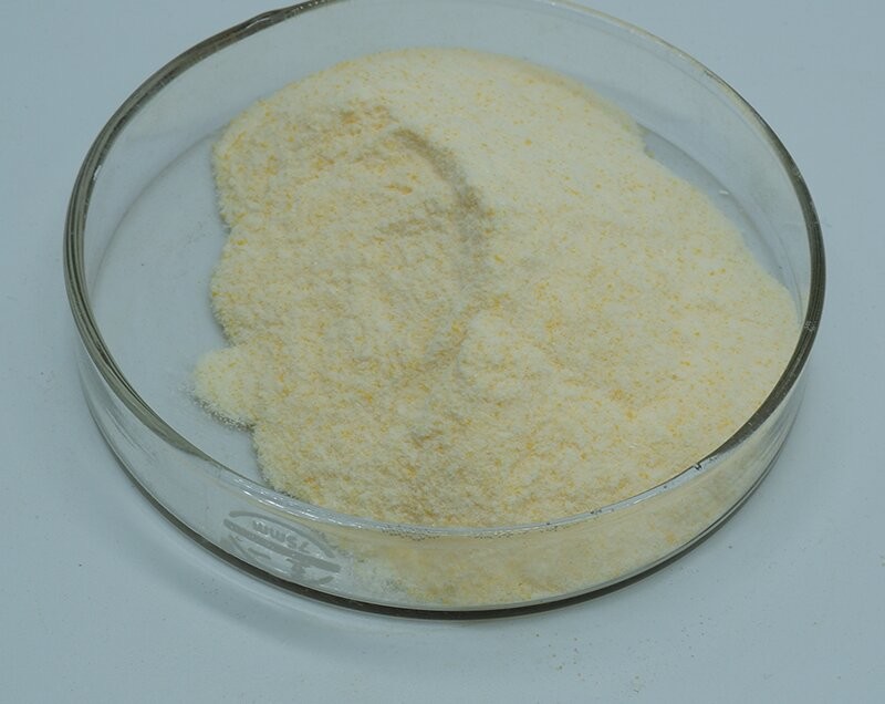 99% Food Grade Xylanase Enzyme Powder | Water Soluble Additive