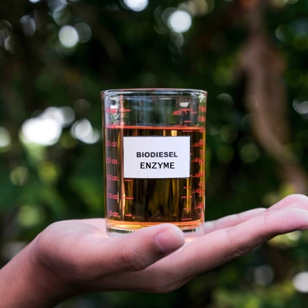 High Purity Biodiesel Enzymatic Purification Activity Range 10000 ...