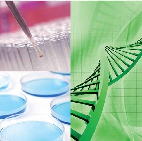 Elevate Your Biorefinery Operations with the Versatility of CALB Enzyme ...