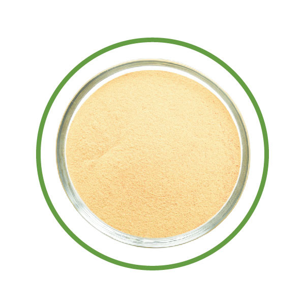 Marine Shrimp Probiotics In Vannamei Culture