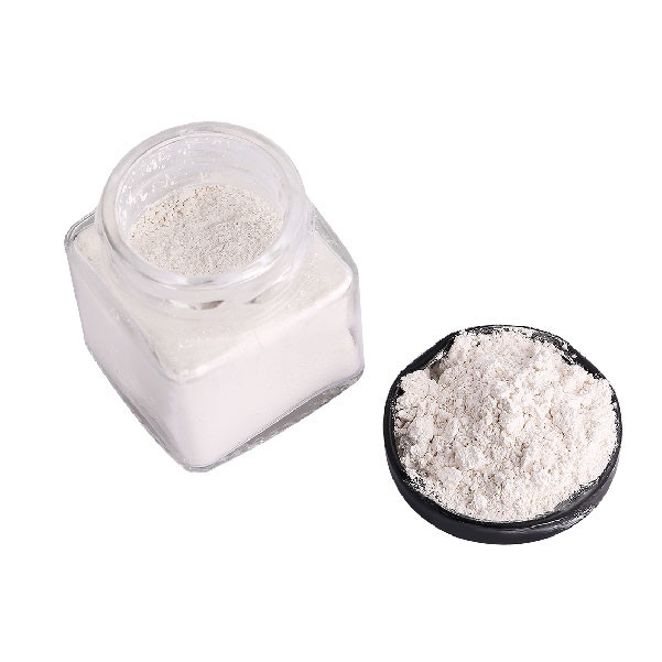Lactobacillus Acidophilus Bacteria Powder