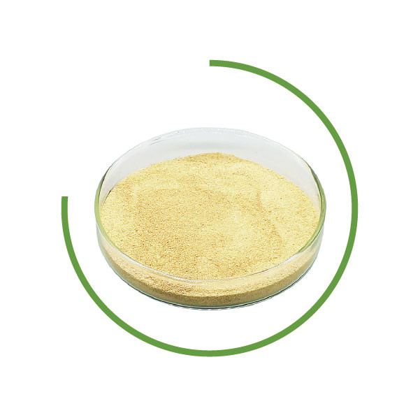 Stonezyme SF Cellulase Enzyme for Denim Washing | Textile Auxiliary