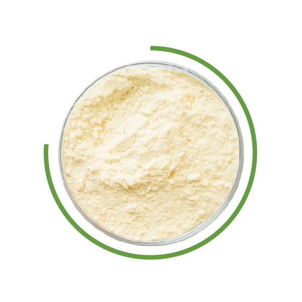 Food-Grade Transglutaminase TG Enzyme for Meat & Dairy